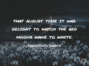 50 Inspirational Quotes for August - INSPIRITFUL