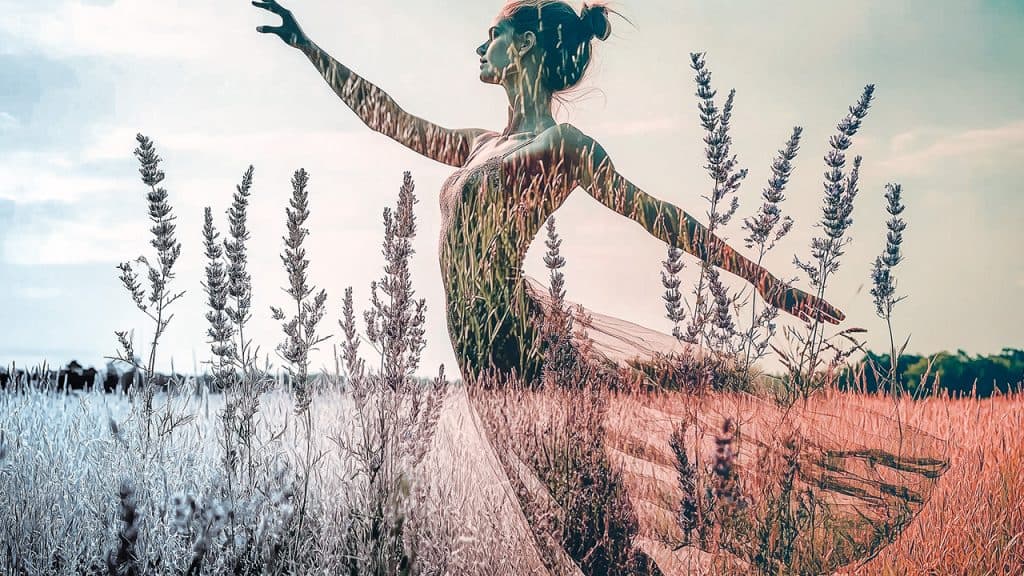 Top 20 Beautiful Flower Quotes to Brighten Your Day